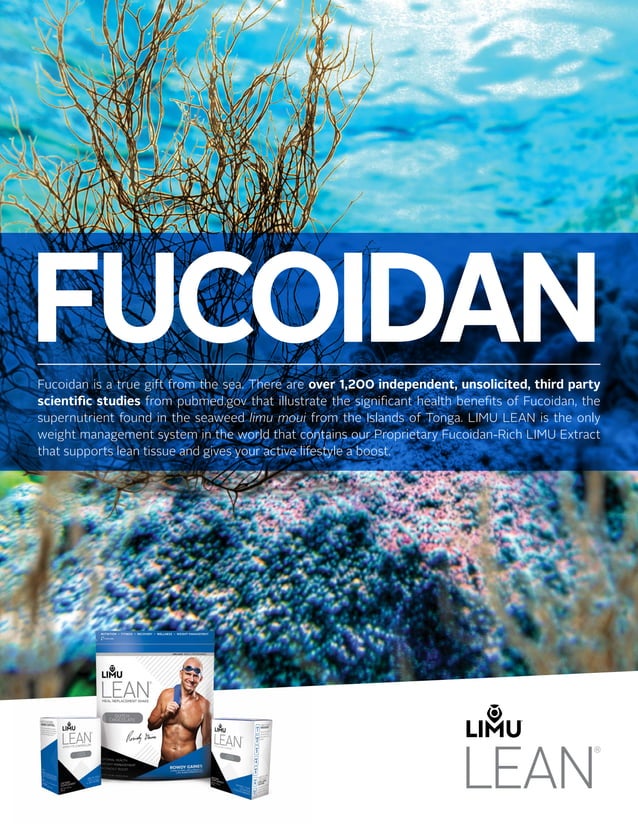 The LIMU LEAN Difference | PDF