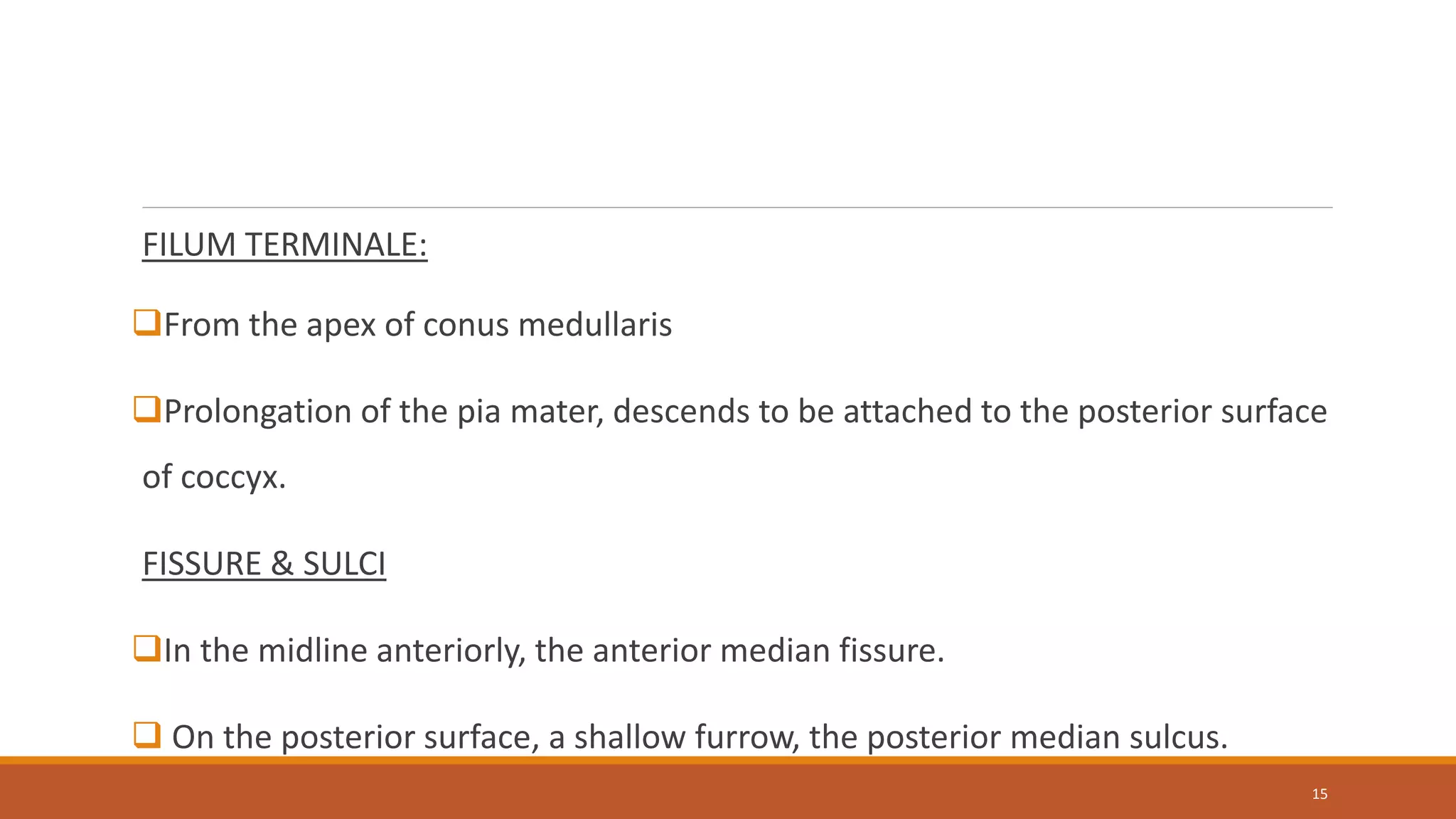 NEUROANATOMY - I | PPTX