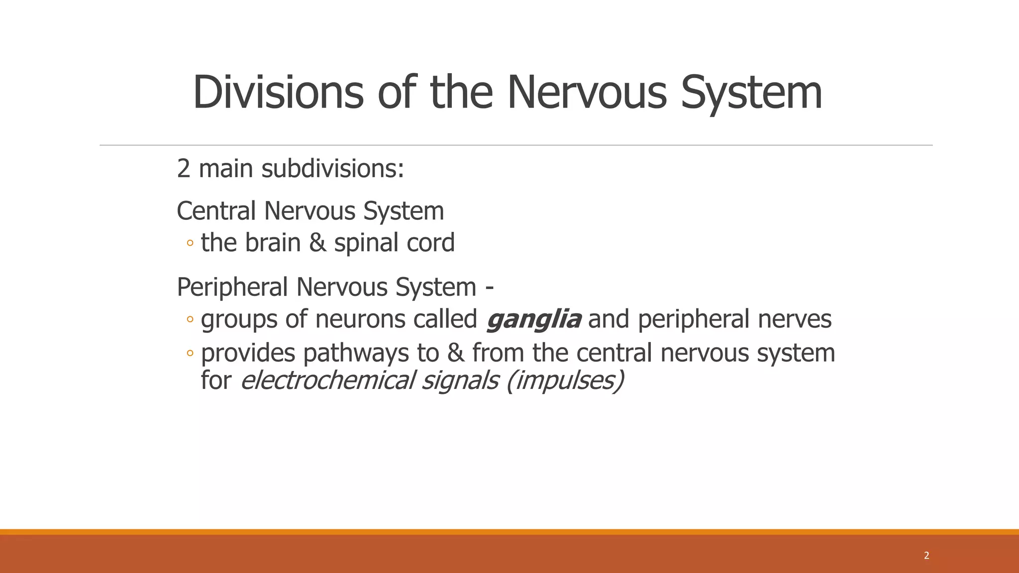 NEUROANATOMY - I | PPTX