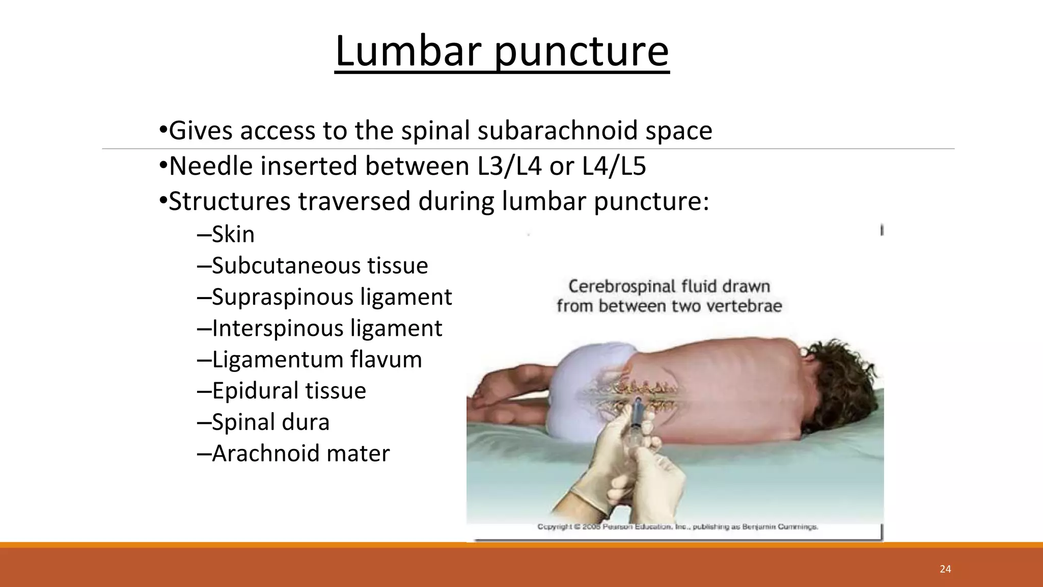 NEUROANATOMY - I | PPTX