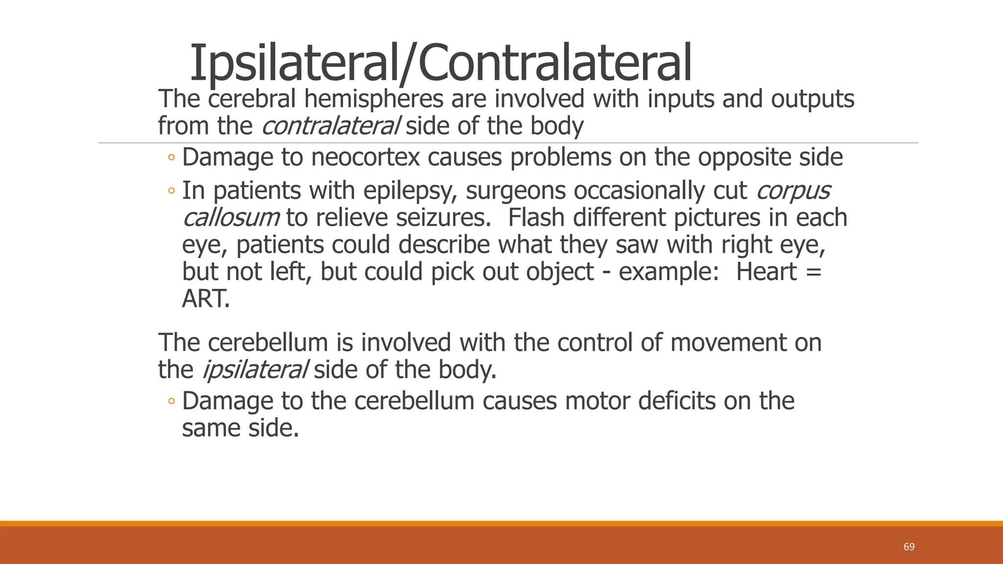 NEUROANATOMY - I | PPTX