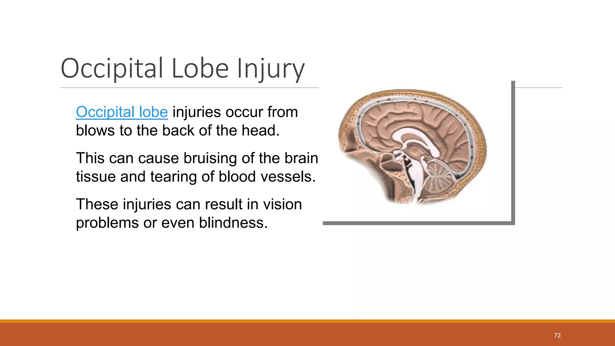 NEUROANATOMY - I | PPTX