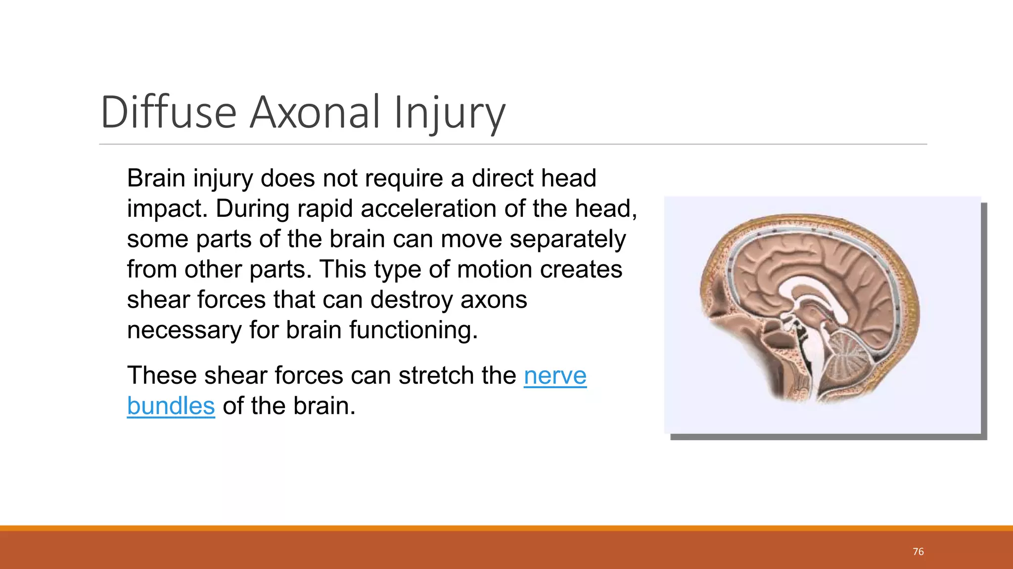 NEUROANATOMY - I | PPTX