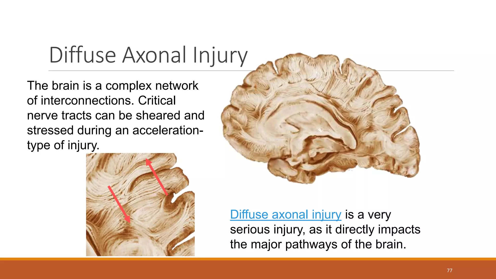 NEUROANATOMY - I | PPTX