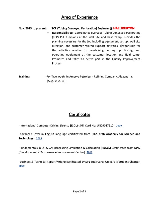 Mostafa Hussein CV | PDF