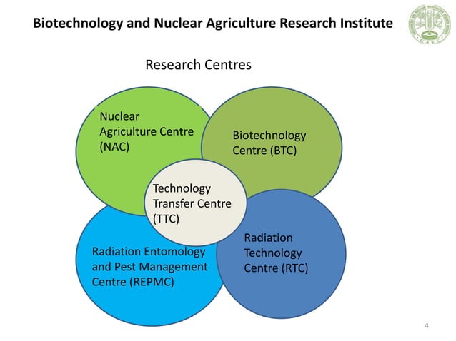 B4FA 2013 Ghana: Pineapple tissue culture - Kenneth Danso | PDF