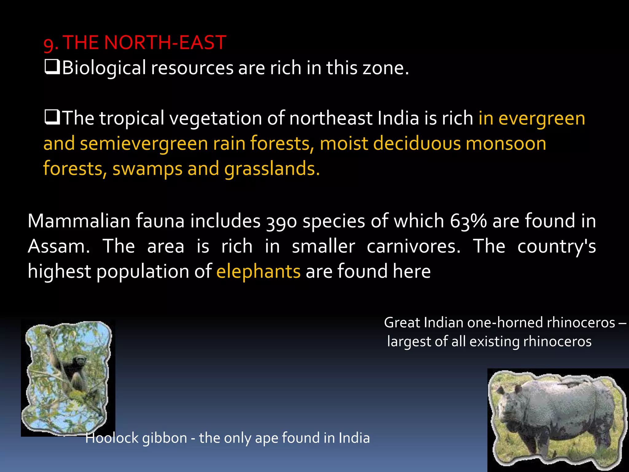 biogeographical classification | PPT