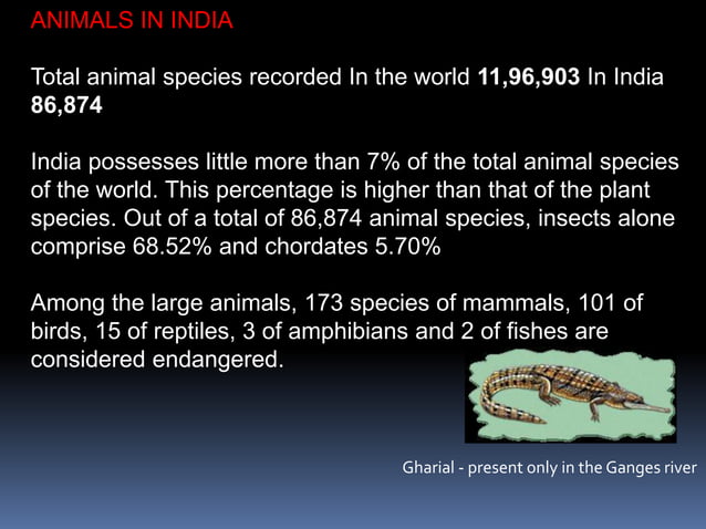 biogeographical classification | PPT