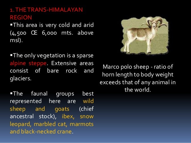 Biogeographic classification of India - Alchetron, the free social ...