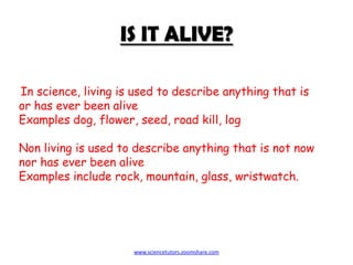 B4 LIFE PROCESSES | PPT