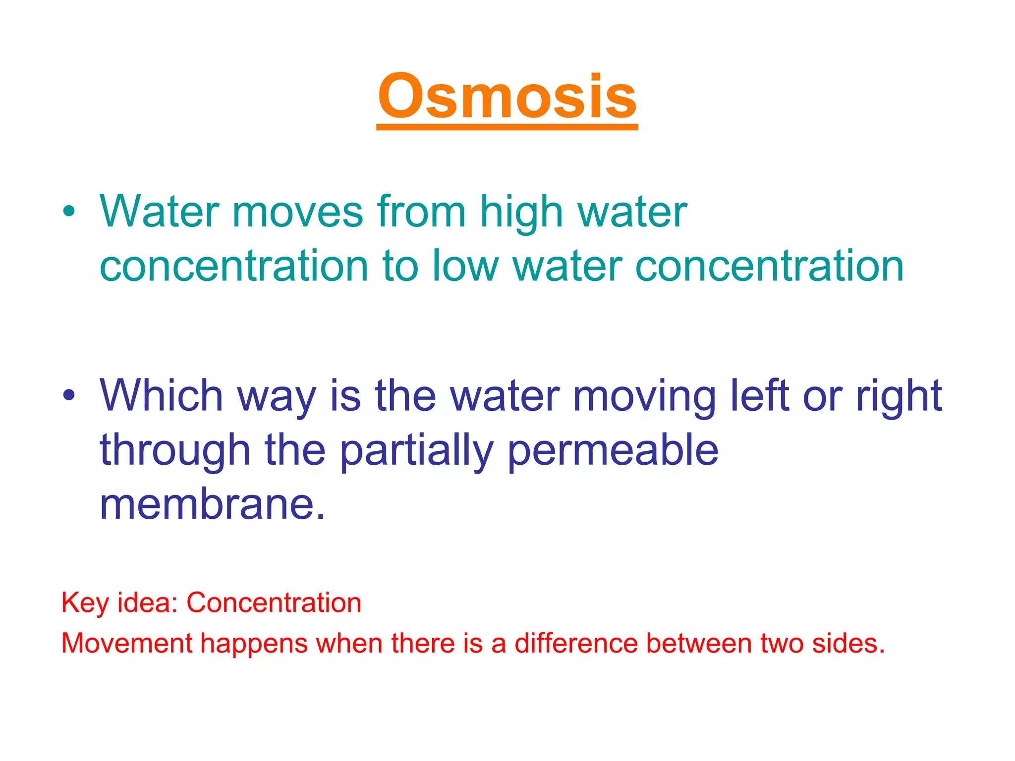 B4 Osmosis - which way will water move | PPT