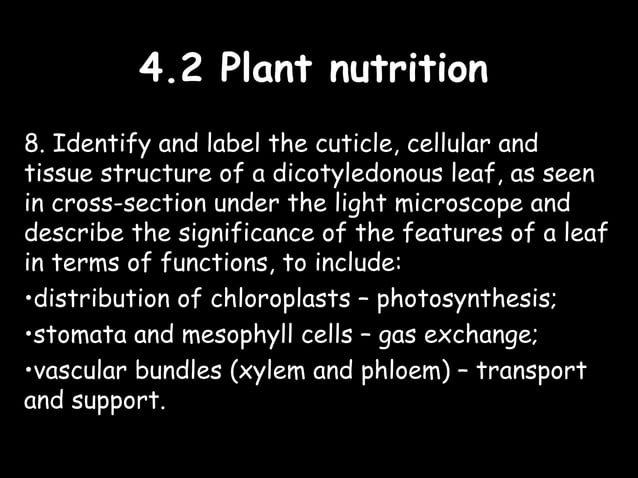 B4 syllabus statements | PPT