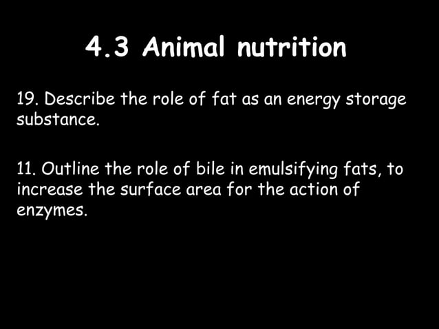 B4 syllabus statements | PPT