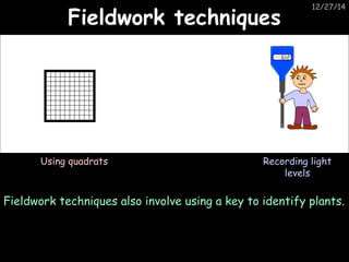 B4 The Processes Of Life | PPT