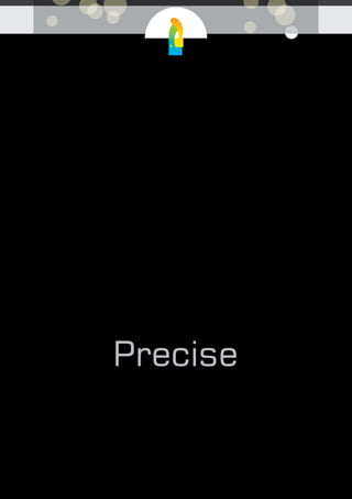 Precise_Catalog_2015_V2 01 (002) | PPT