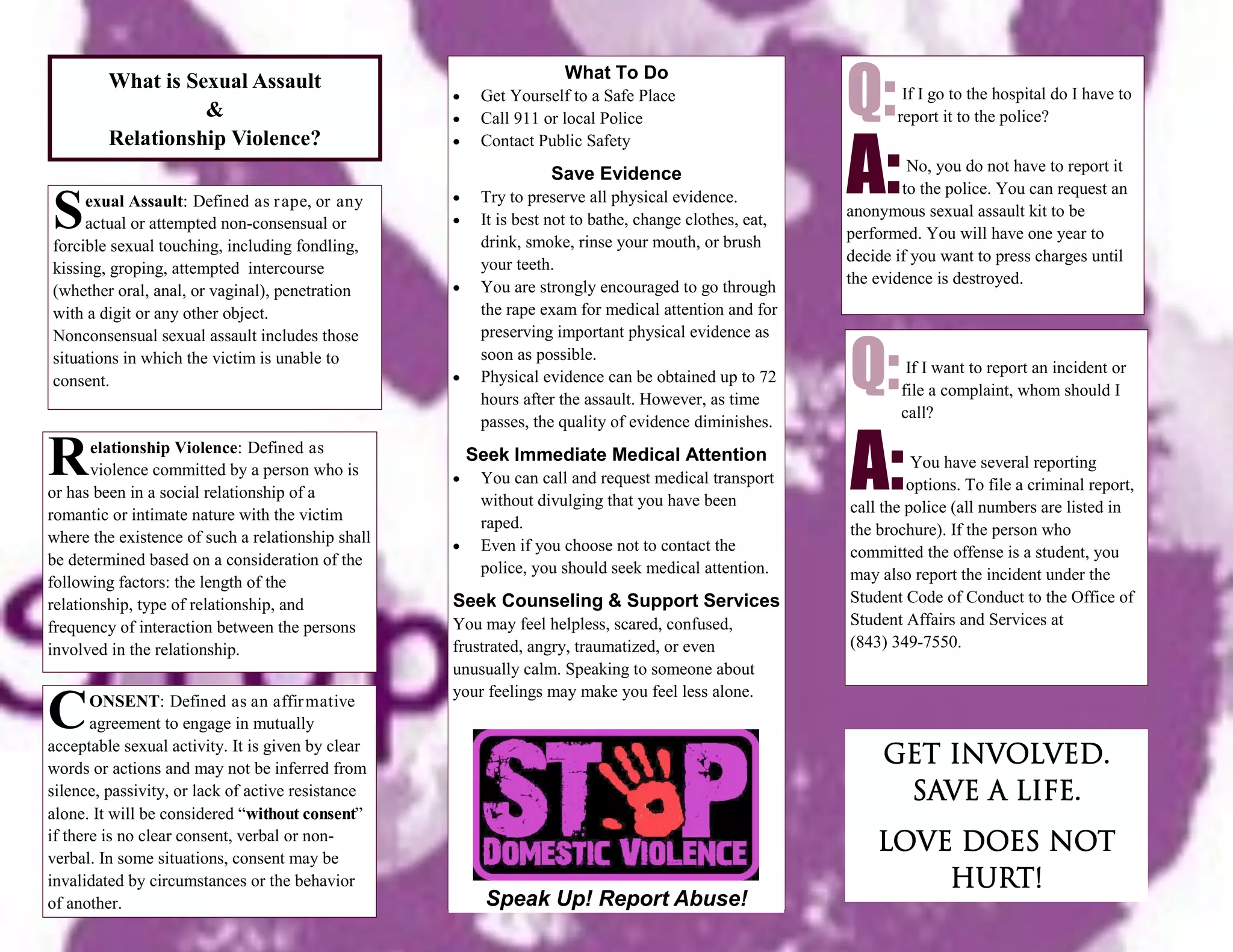 FINAL Sexual Assault Brochure Group 1 | PPT