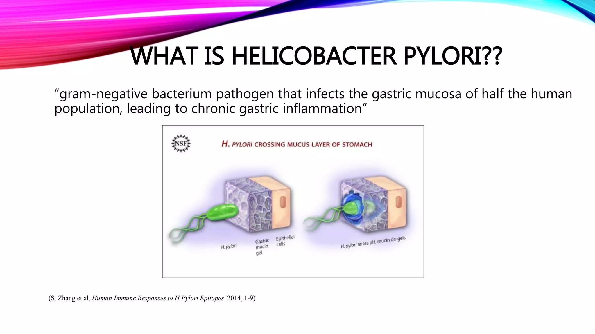 Helicobacter Pylori Infection | PPTX