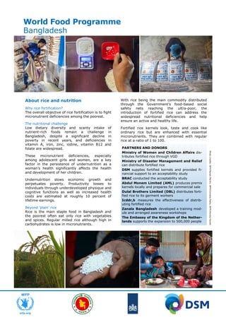 Rice Fortification Factsheet July 2015 FINAL.PDF