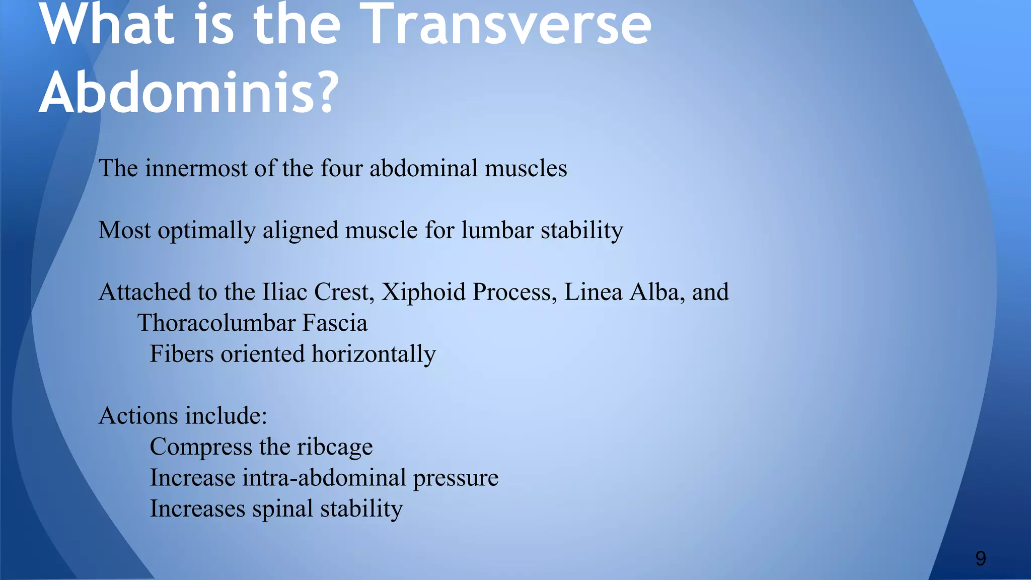 Transverse Abdominis Activation and its Role in Preventing Lower Back ...