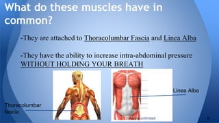 Transverse Abdominis Activation and its Role in Preventing Lower Back ...