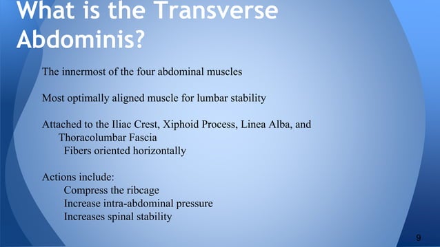 Transverse Abdominis Activation and its Role in Preventing Lower Back ...