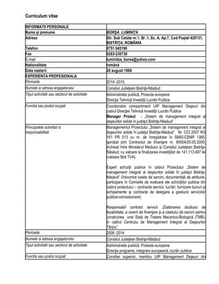 CV Luminita Borsa | PDF