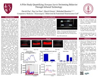 Quantifying Xenopus laevis Swimming Behavior Through Infrared Technology P88 | PPT
