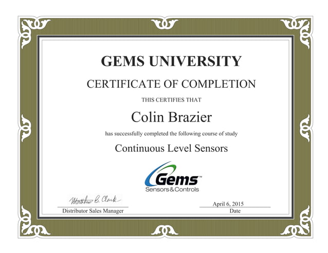 Continuous Level Sensors | PDF