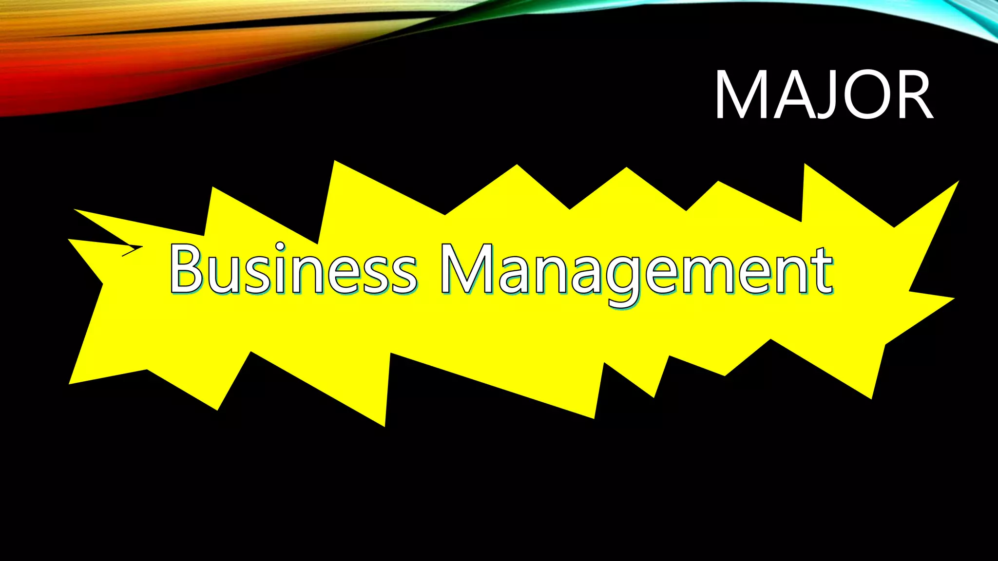 marco aleman visual resume | PPTX