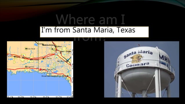 marco aleman visual resume | PPTX