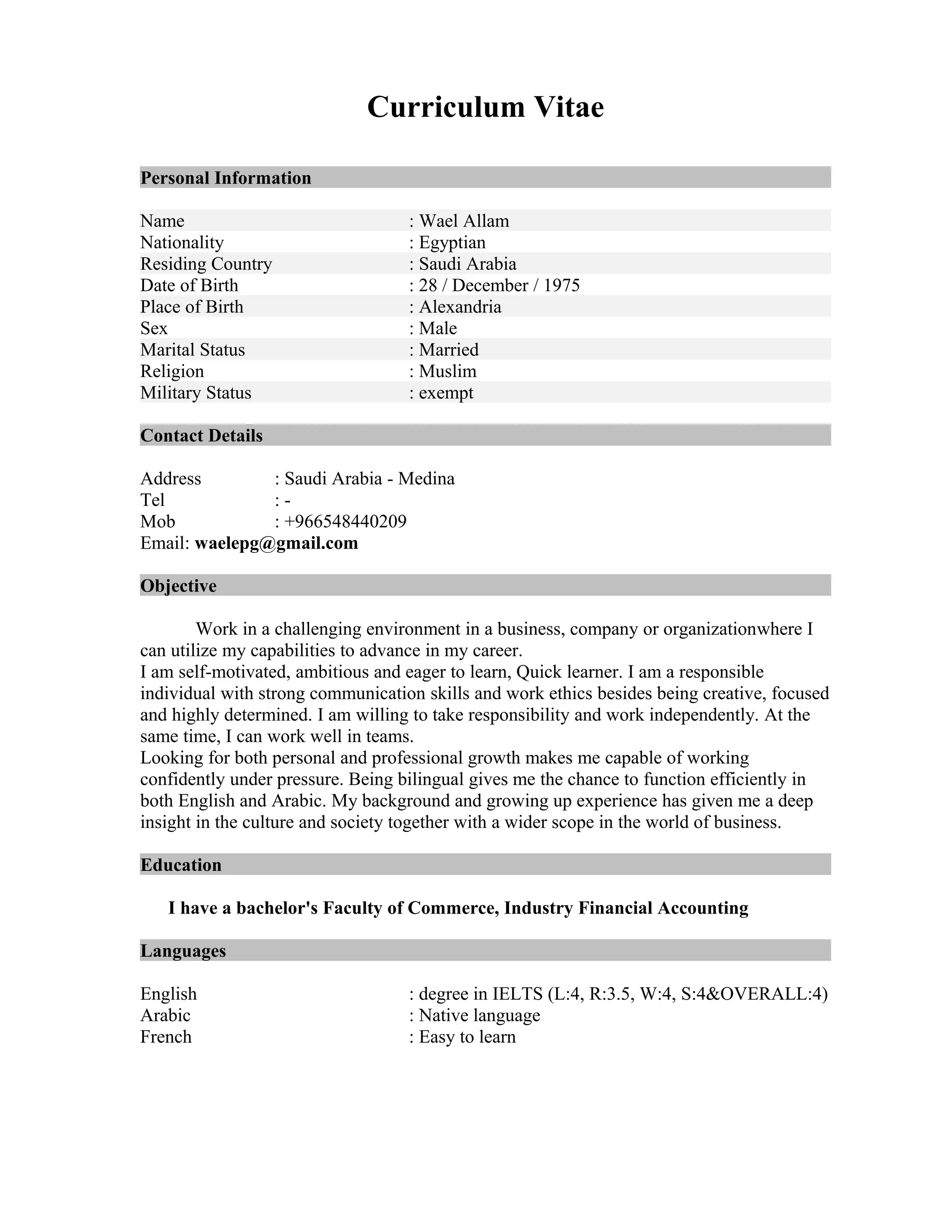 English CV wael | DOC
