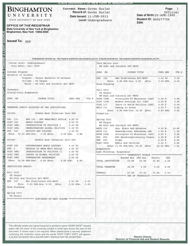 Gurler Transcript 061113 | PDF