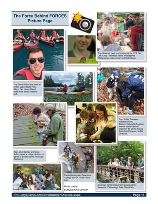 FORCES Spring 2016 Newsletter | PDF