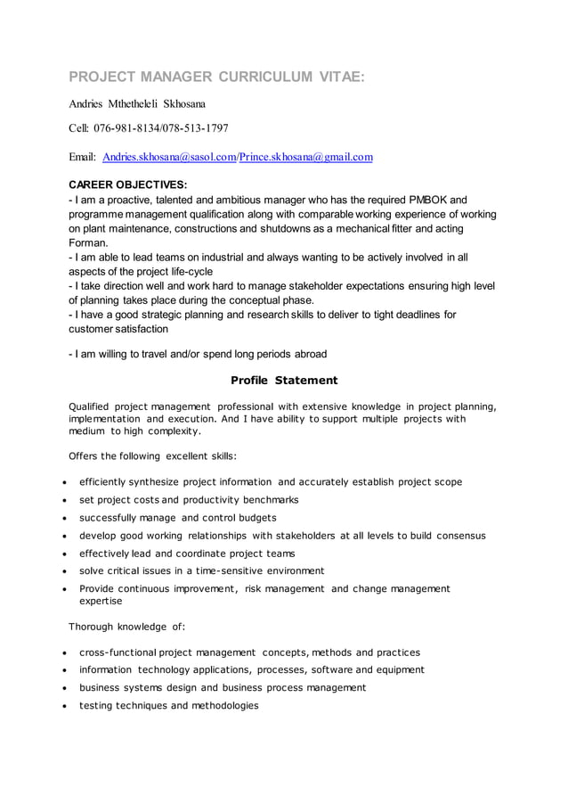 PROJECT MANAGER CURRICULUM VITAE | DOCX | Business Administration ...