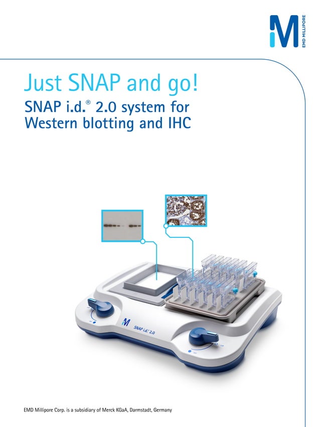 SNAP 2 Brochure | PDF