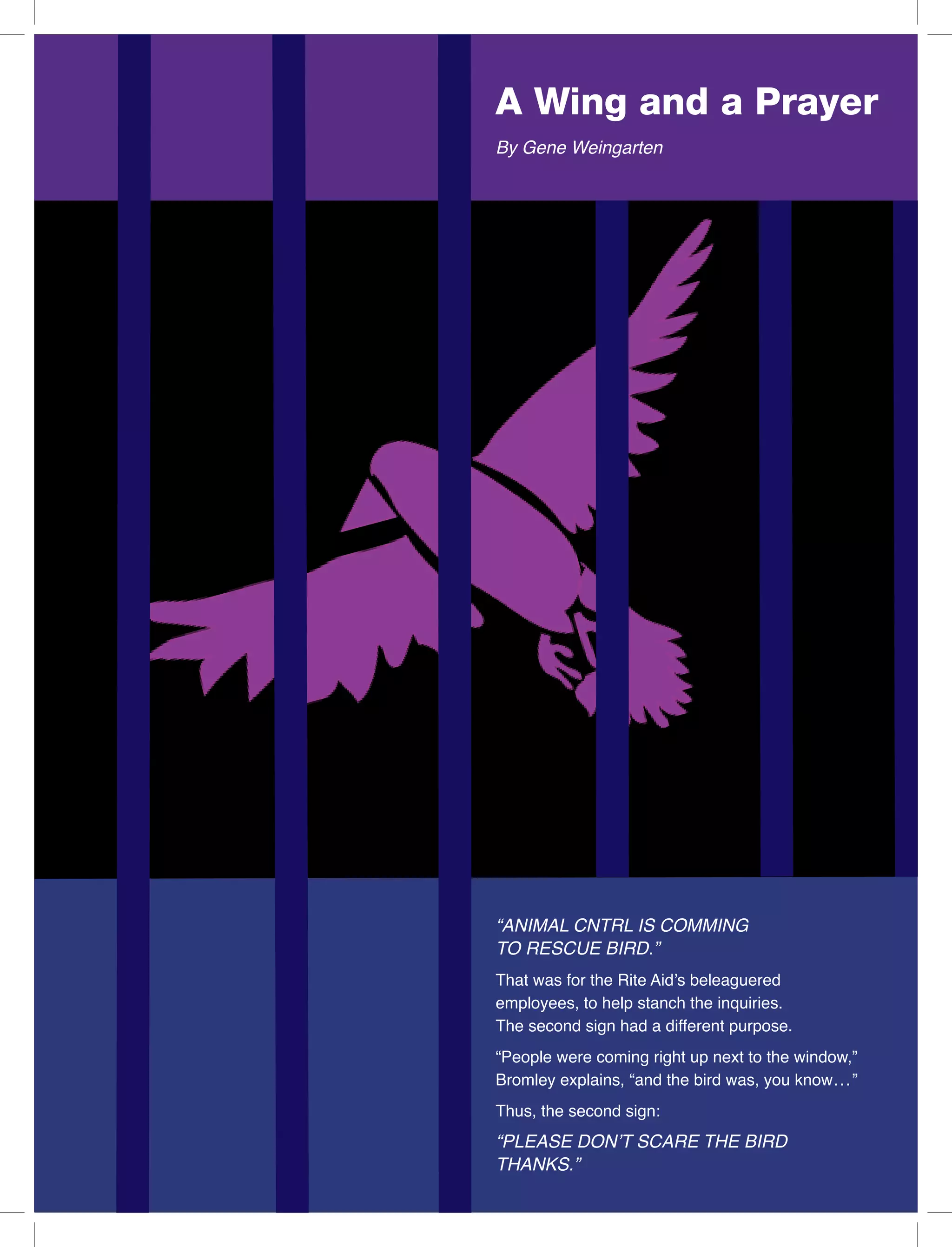 Cage Bird flyer | PDF