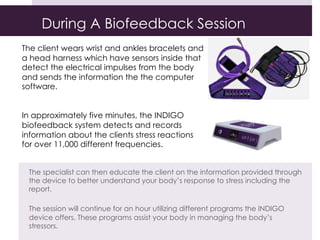 How Stress Effects Our Body | PPT