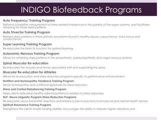 How Stress Effects Our Body | PPT