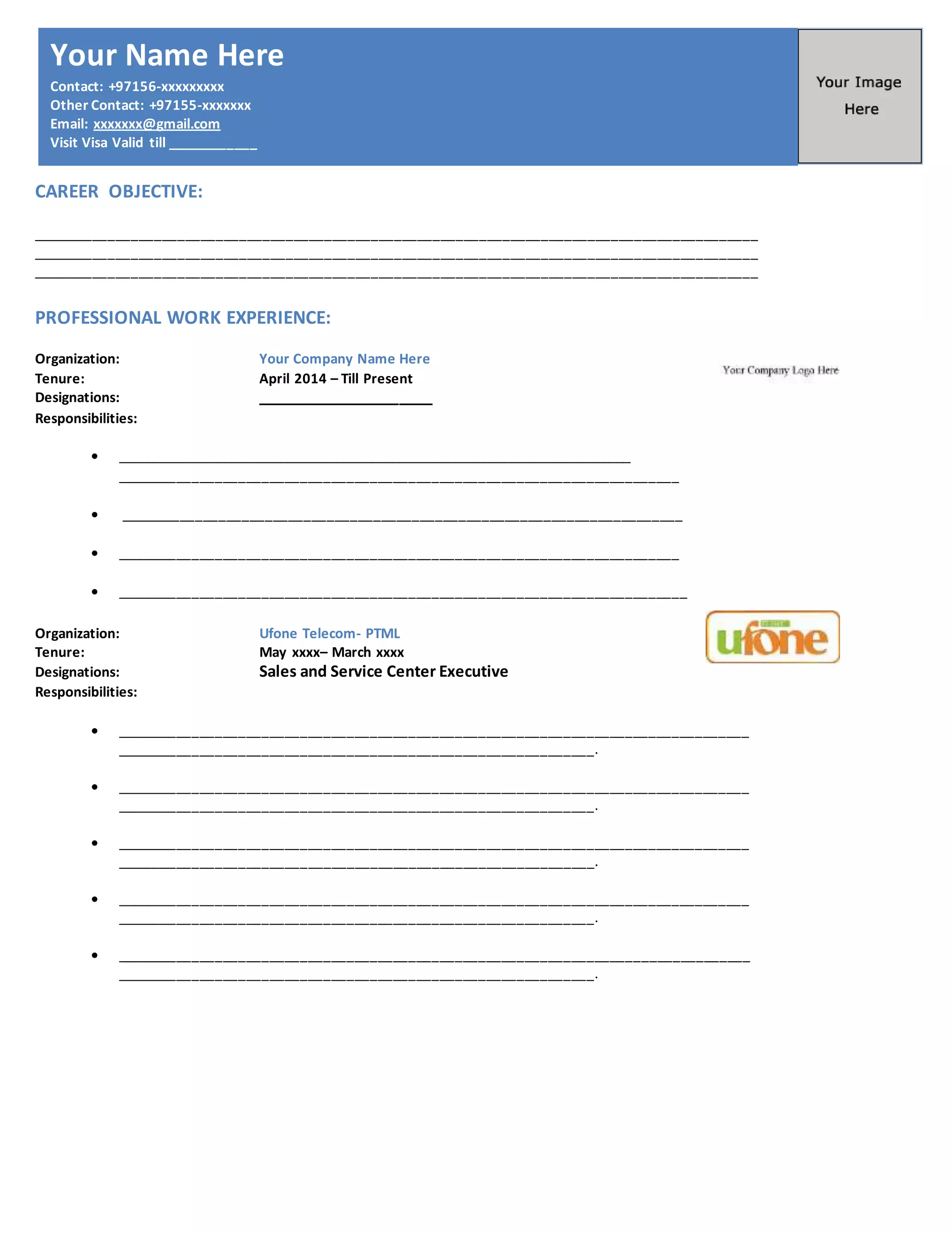 UAE Standard Professional Resume Format | DOCX