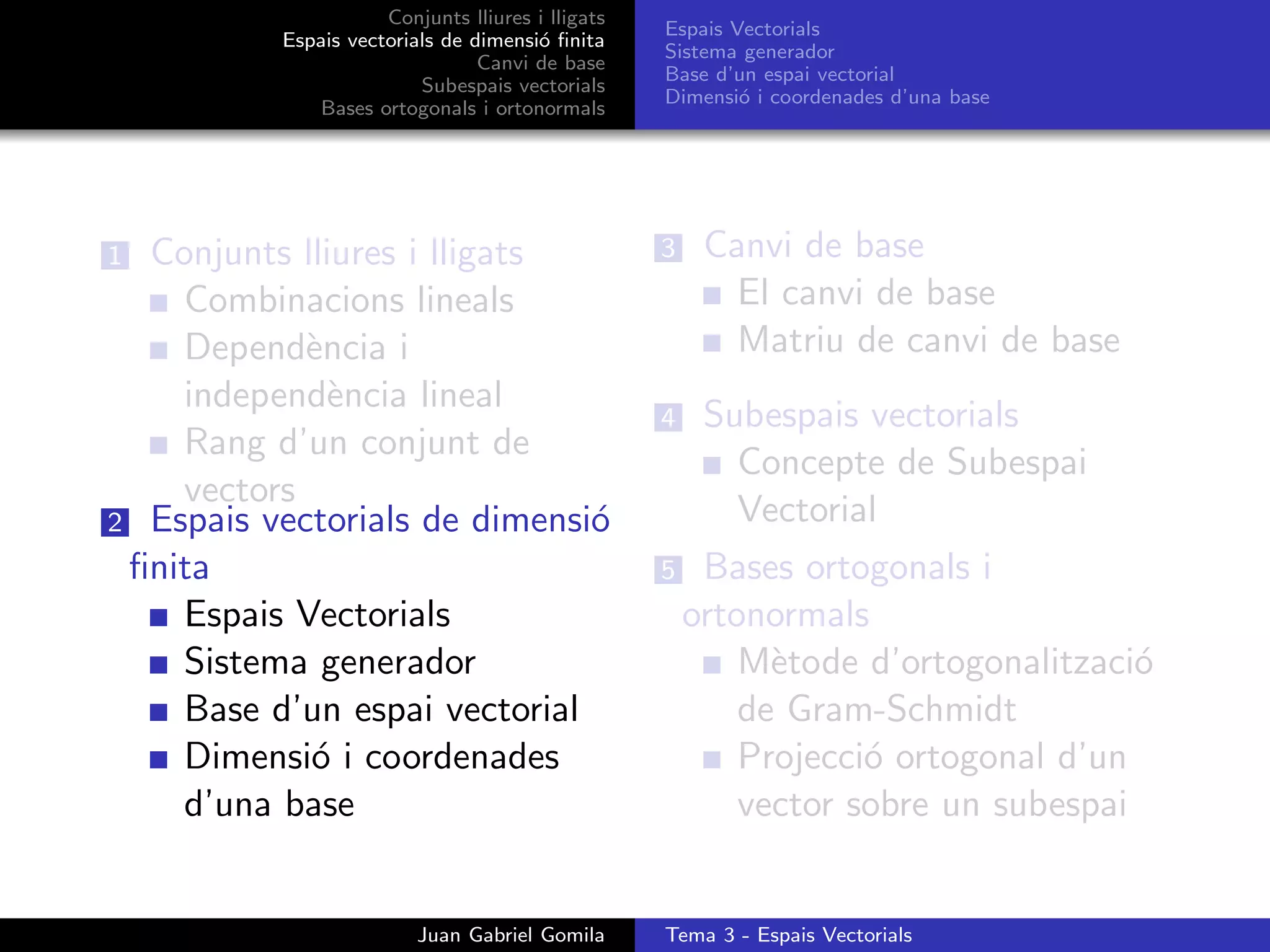Espais Vectorials de Dimensió Finita | PDF