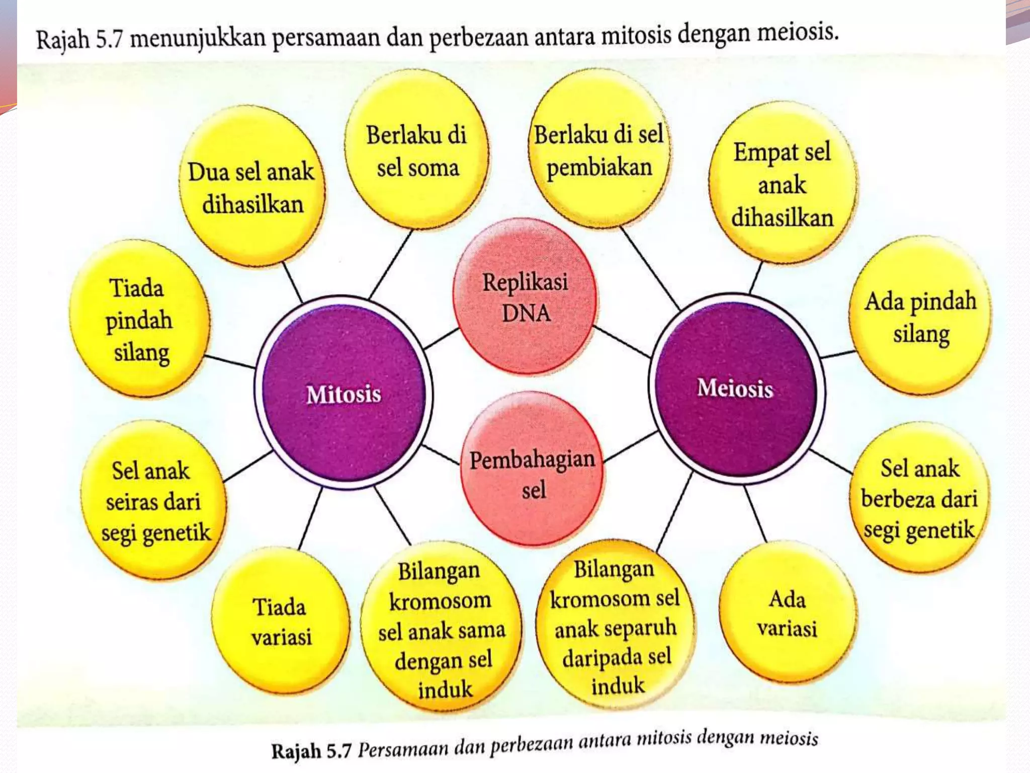 Bab 5 : Genetik (Sains KSSM Ting. 4) | PPTX