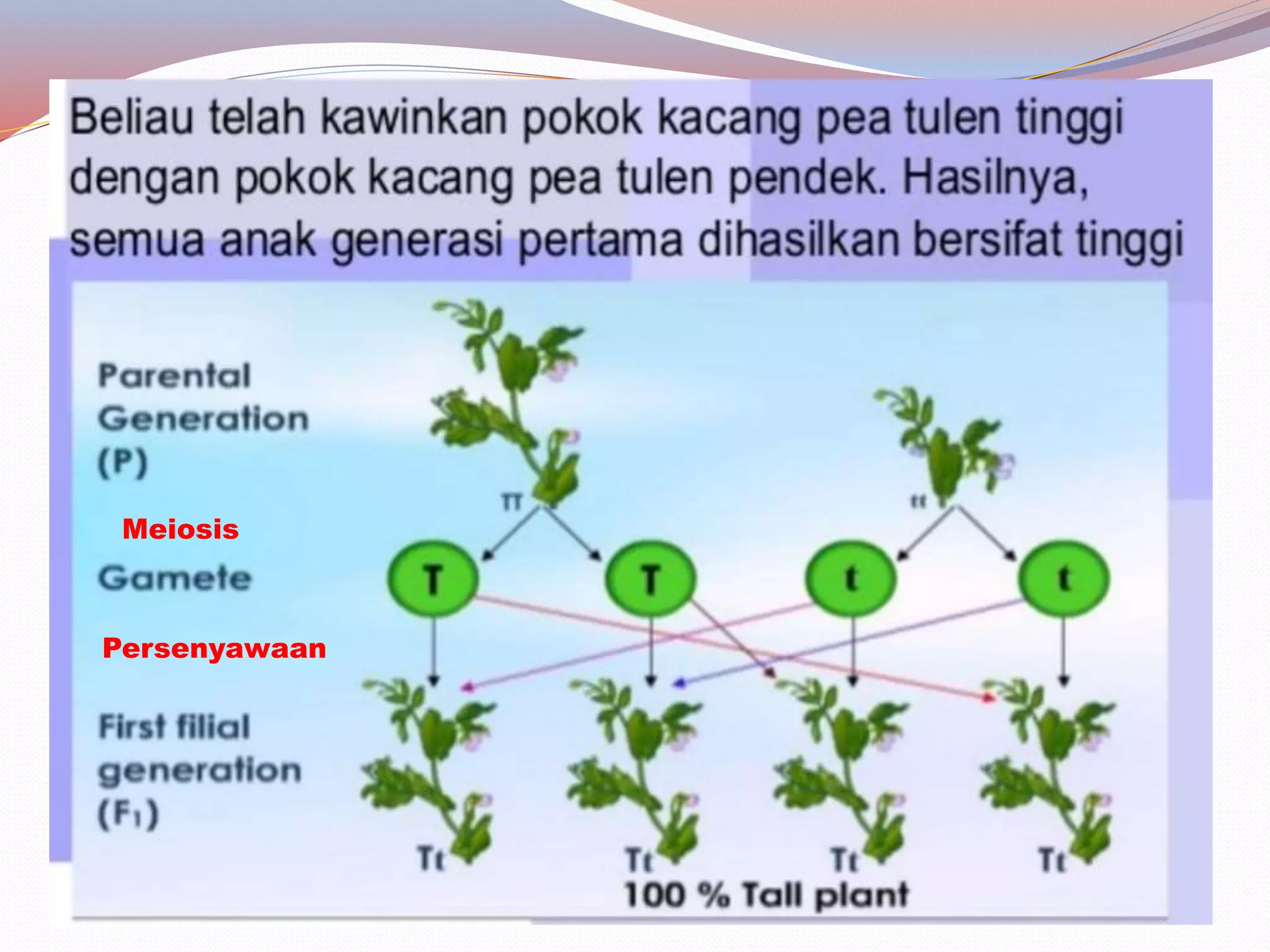 Bab 5 : Genetik (Sains KSSM Ting. 4) | PPTX