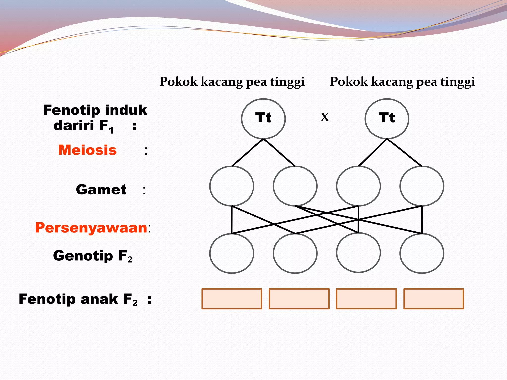 Bab 5 : Genetik (Sains KSSM Ting. 4) | PPTX