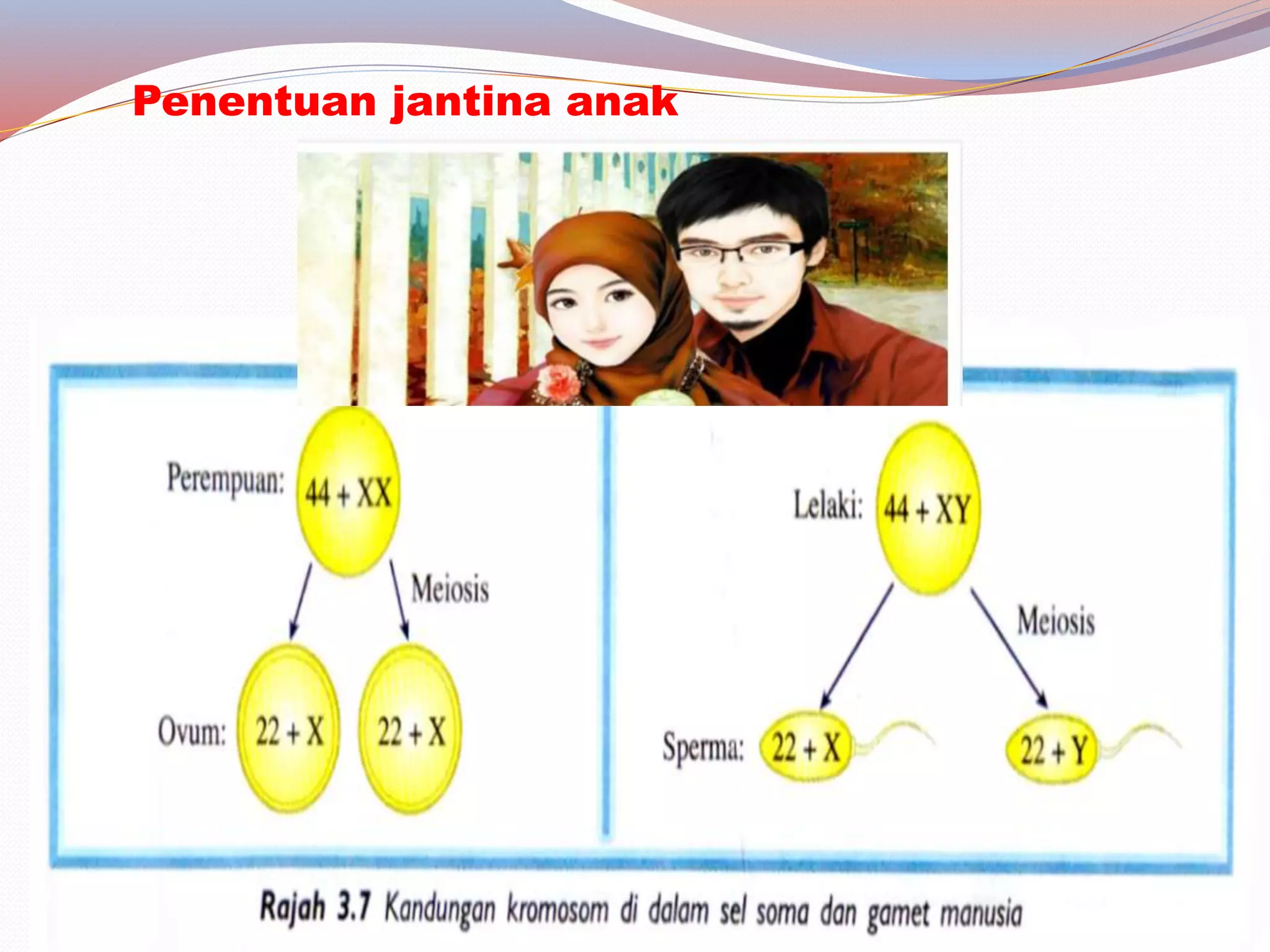 Bab 5 : Genetik (Sains KSSM Ting. 4) | PPTX