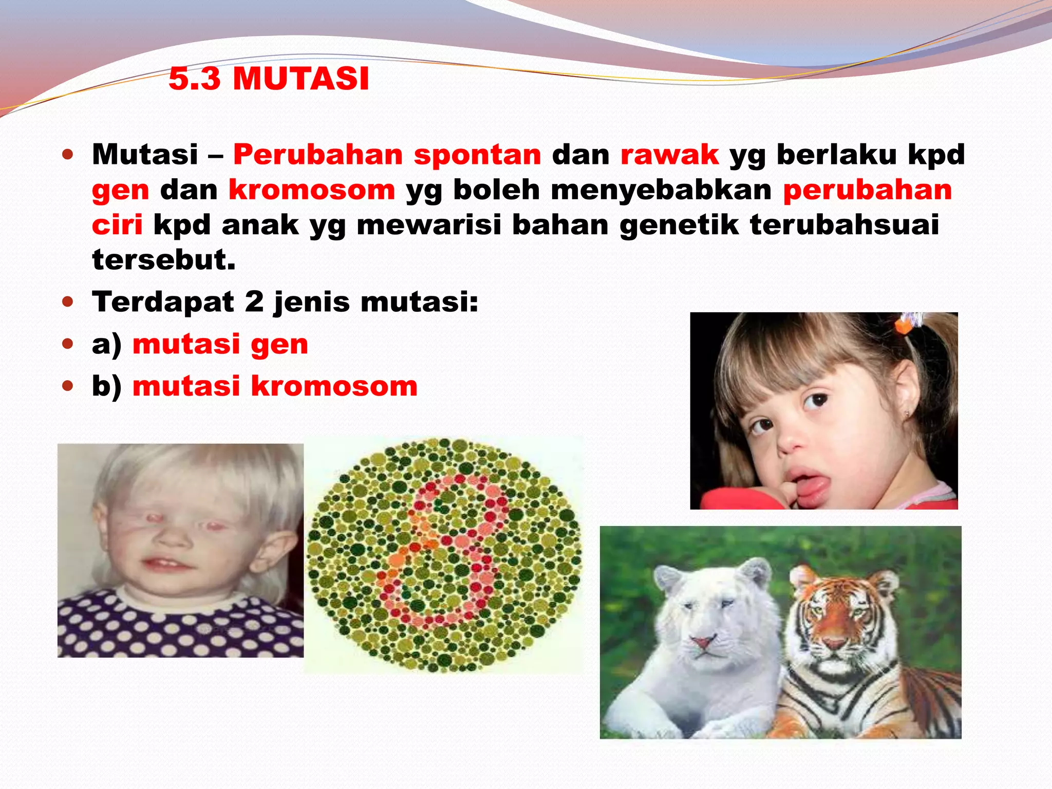 Bab 5 : Genetik (Sains KSSM Ting. 4) | PPTX