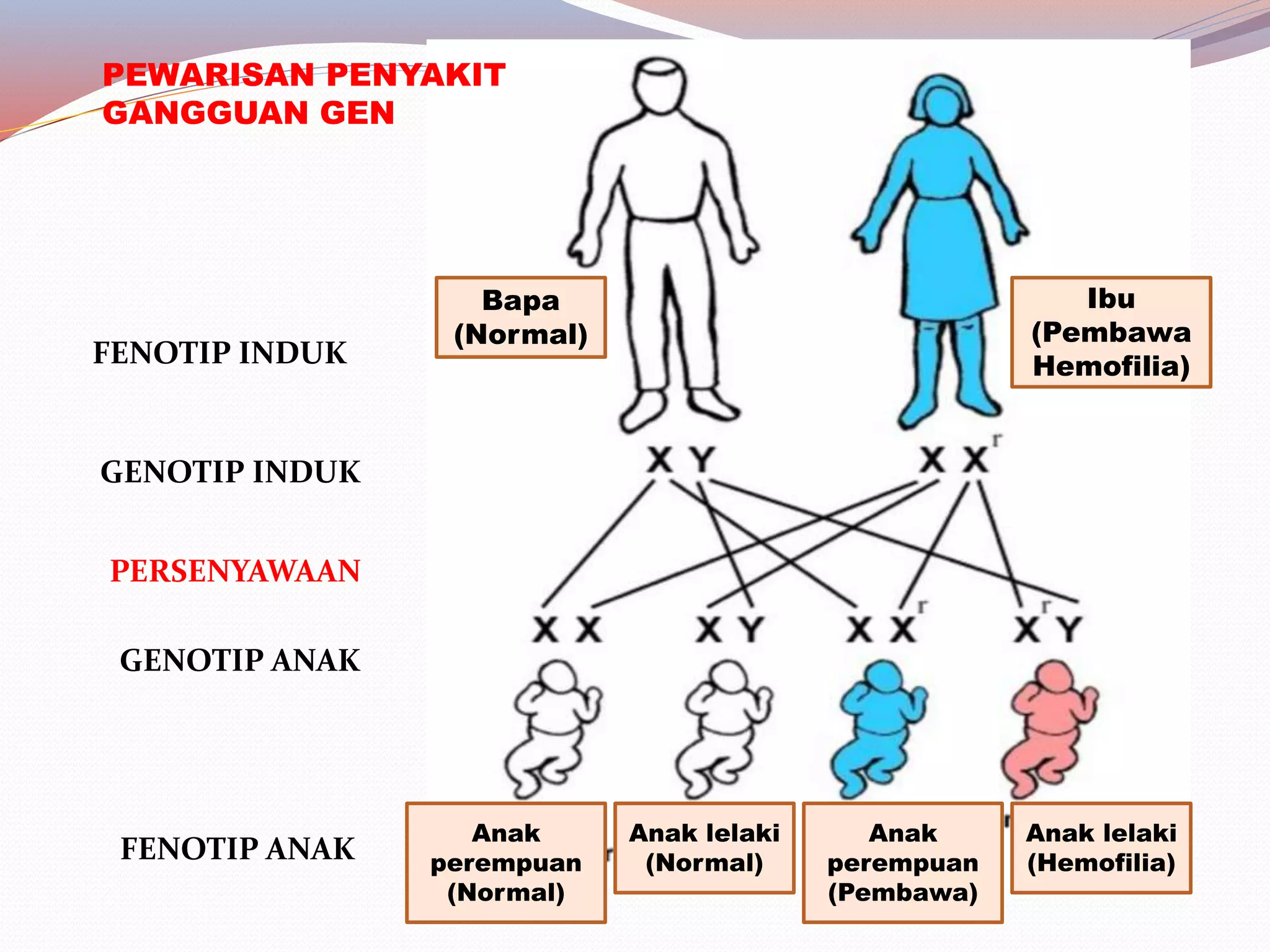 Bab 5 : Genetik (Sains KSSM Ting. 4) | PPTX