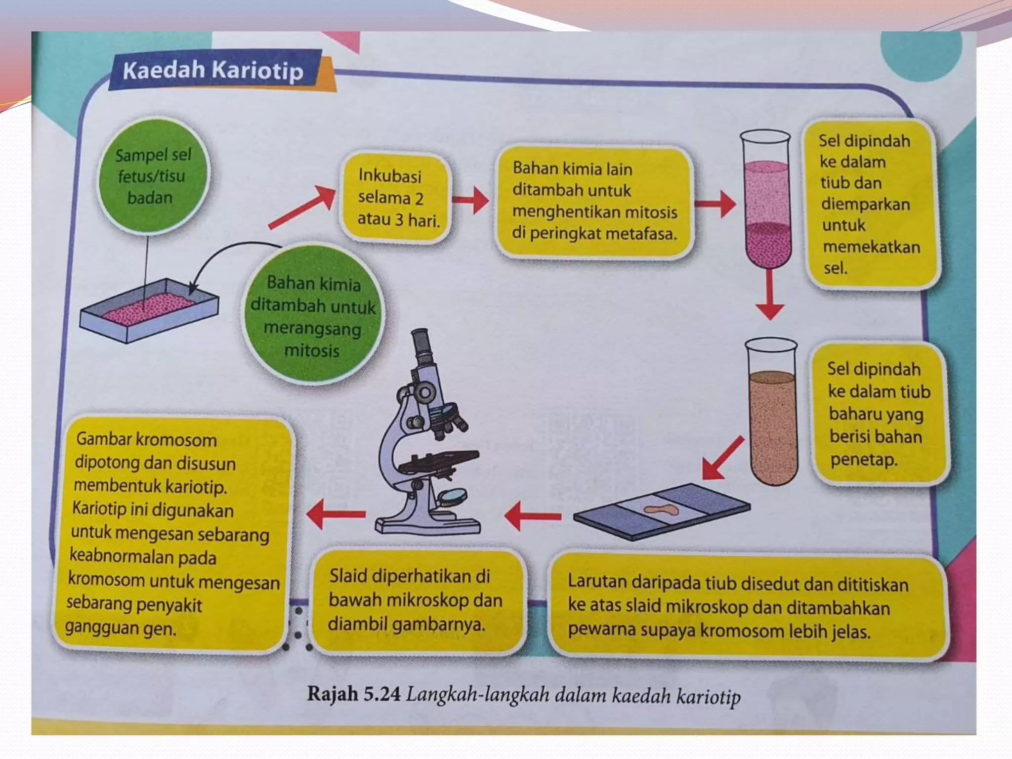 Bab 5 : Genetik (Sains KSSM Ting. 4) | PPTX