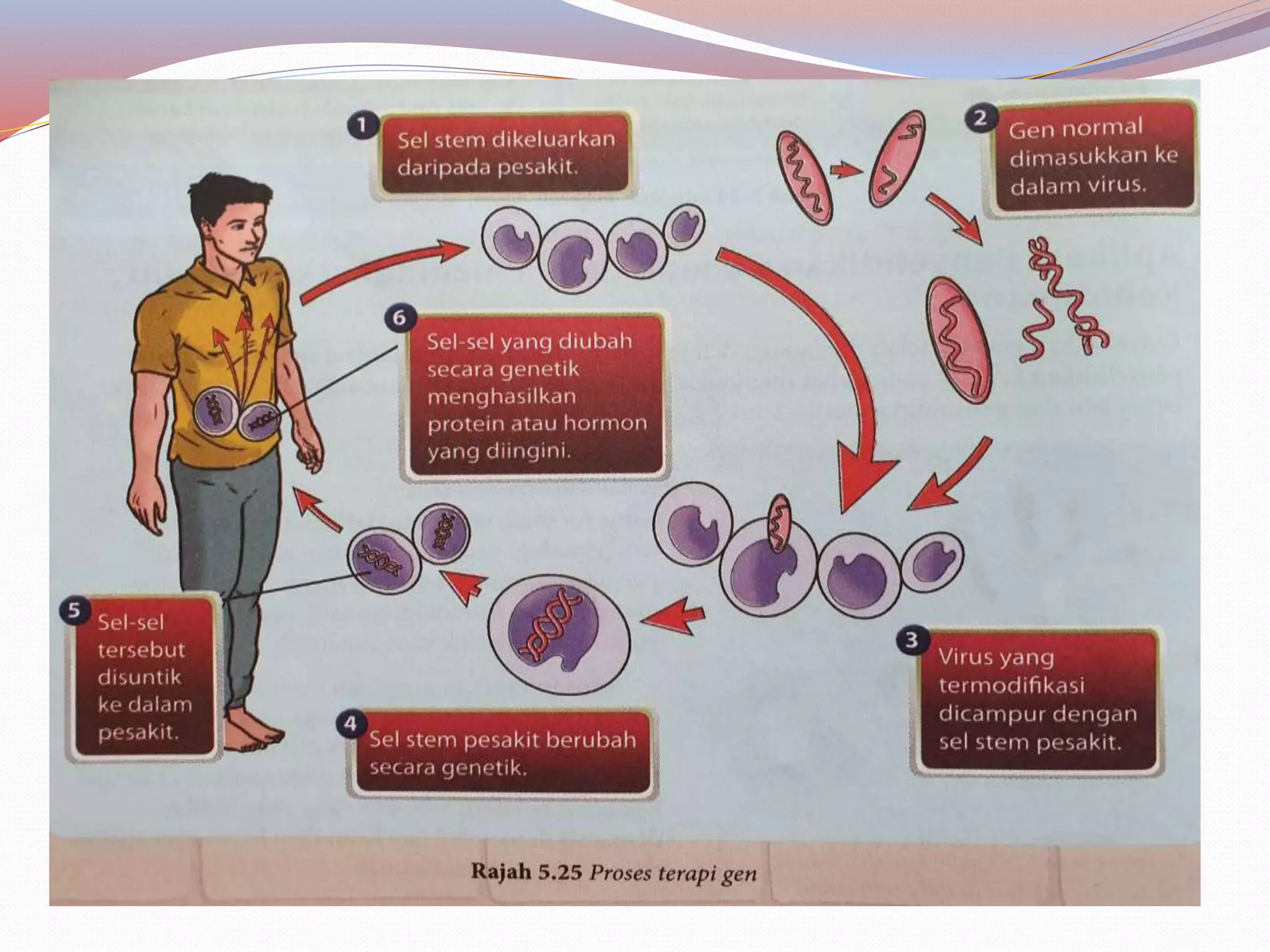Bab 5 : Genetik (Sains KSSM Ting. 4) | PPTX