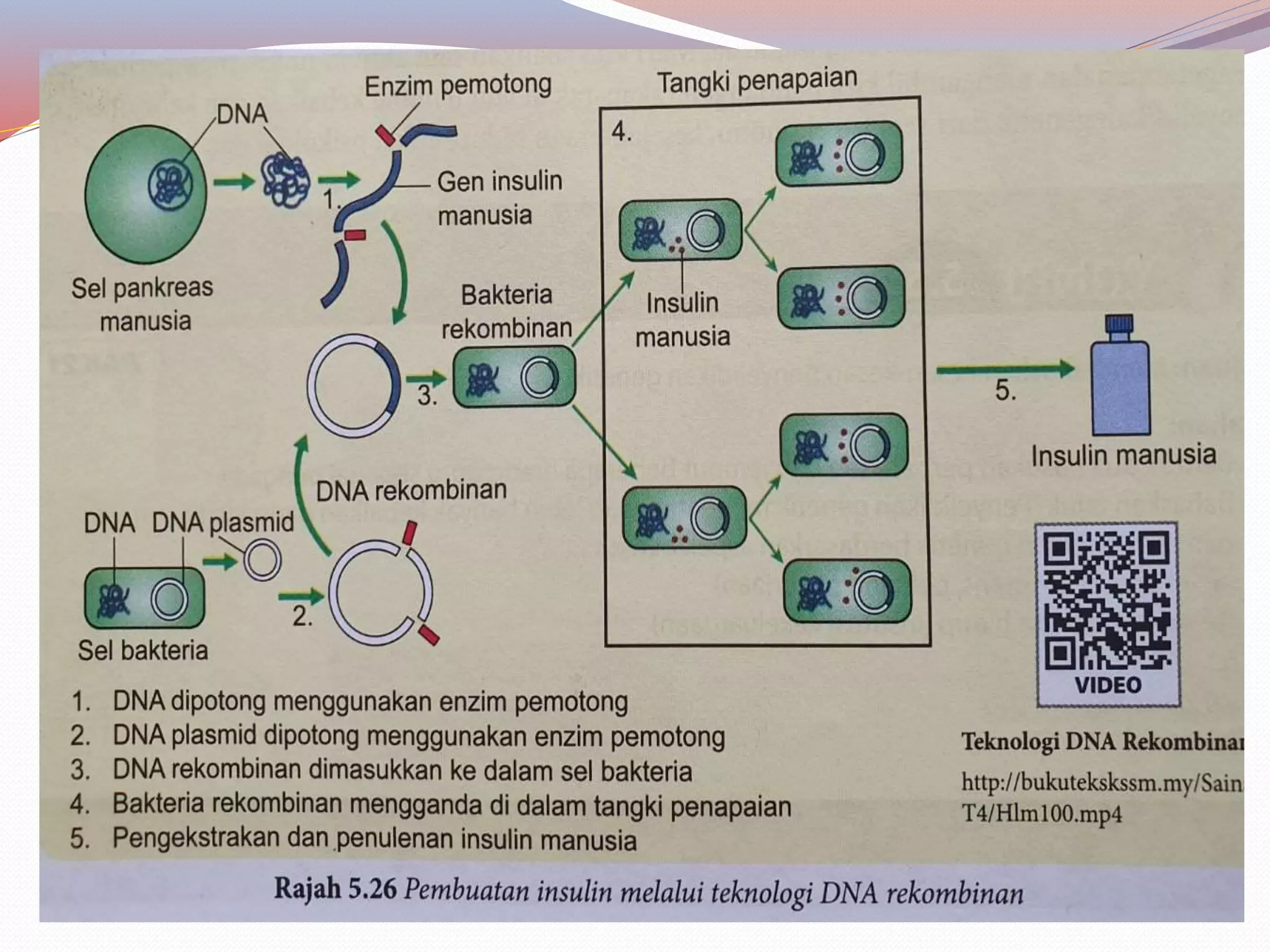 Bab 5 : Genetik (Sains KSSM Ting. 4) | PPTX