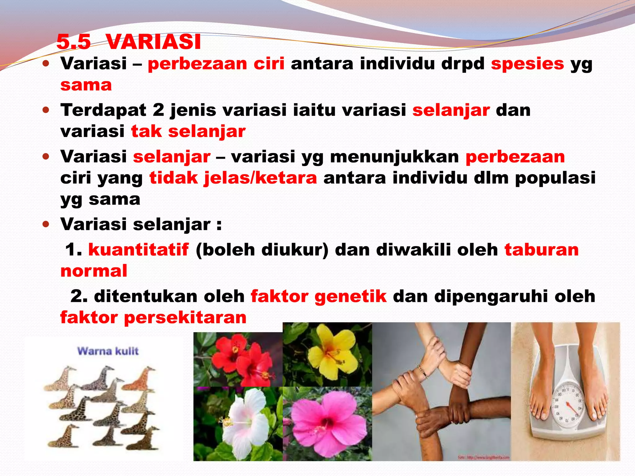 Bab 5 : Genetik (Sains KSSM Ting. 4) | PPTX